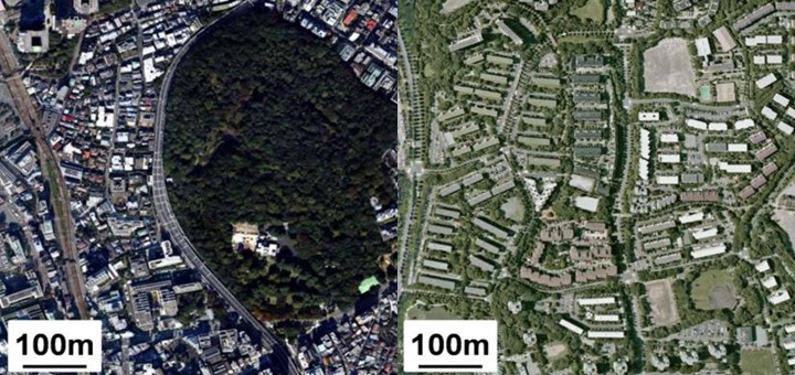 Bringing land sparing and land sharing to the city – The Applied Ecologist