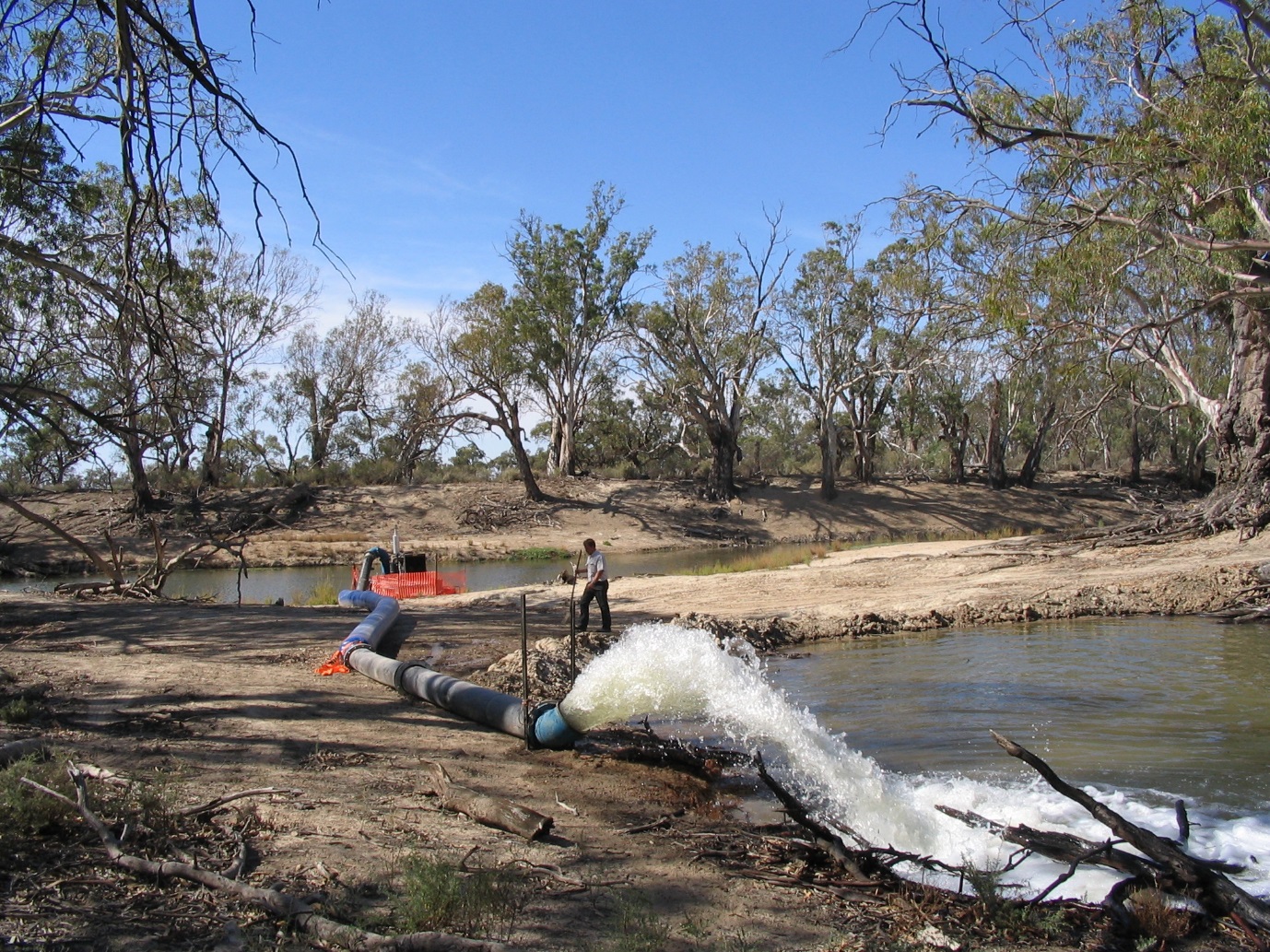A simple recipe for regenerating floodplain forests: add water and ...