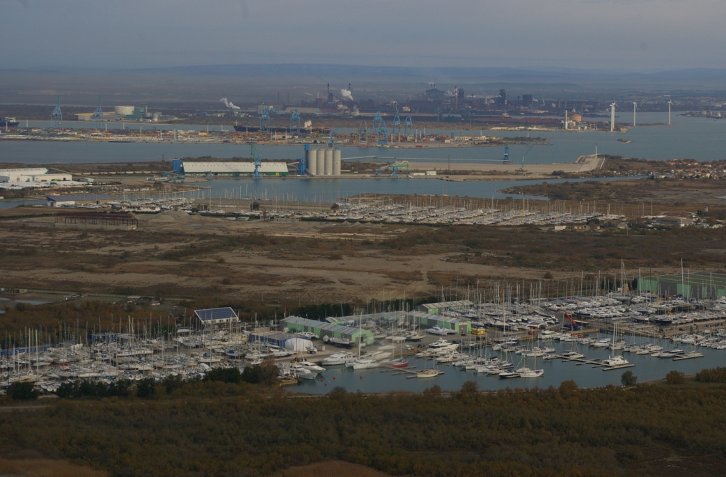 Do we have a clue about the role of wildlife in antimicrobial ...