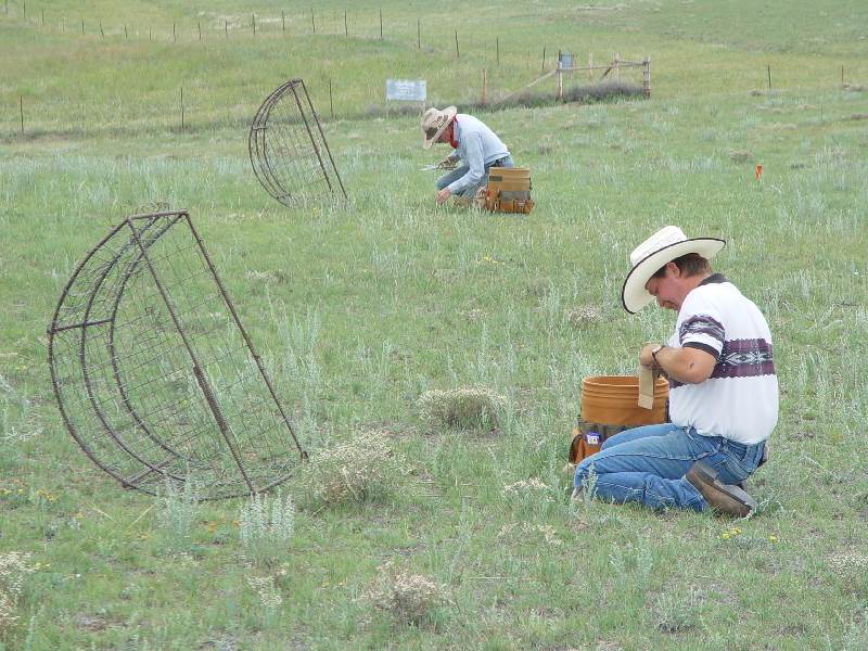 Northern mixed-grass prairie bounces back, but slowly: reflections on a ...