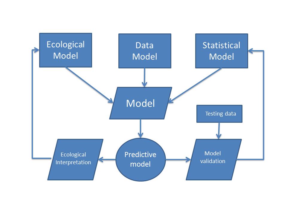 Are models useful? – Predicting intertidal seagrass habitats – The ...