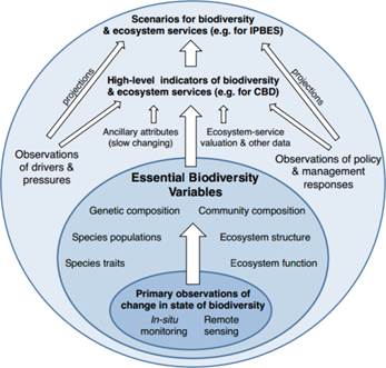 Getting people working on ecosystem functions connected – The Applied ...