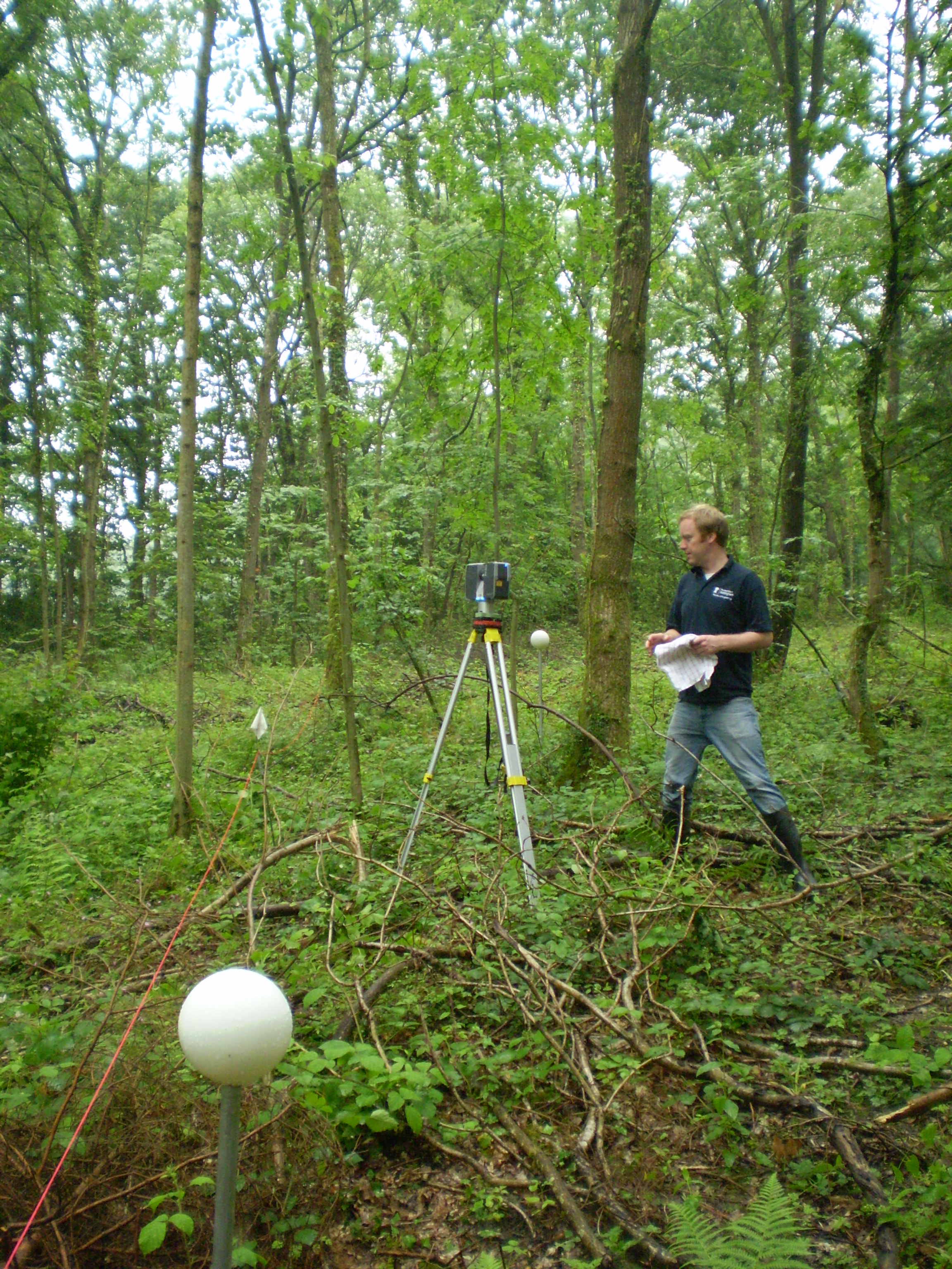 Forests in 3D – The Applied Ecologist