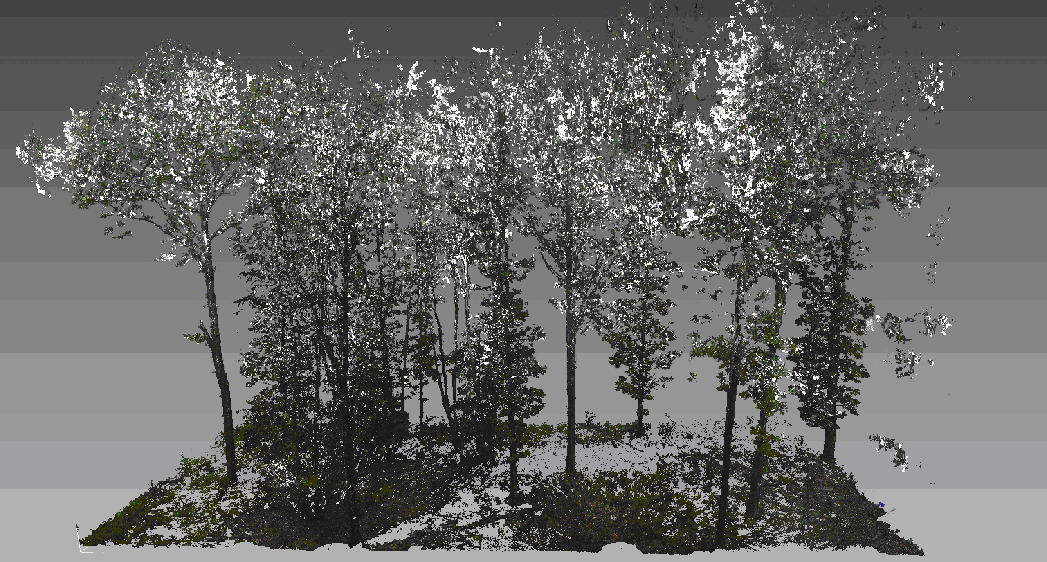 Forests in 3D – The Applied Ecologist