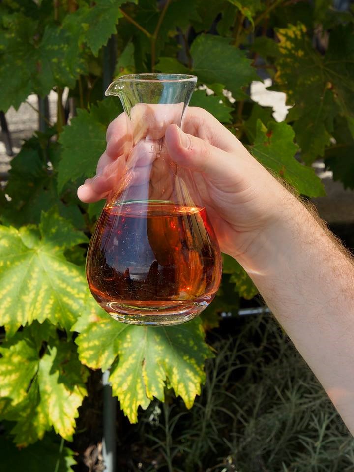 A win-win for wine – The Applied Ecologist