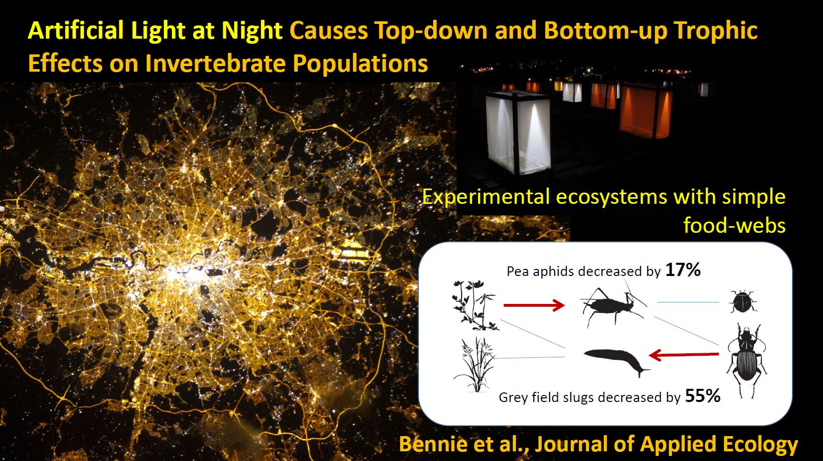 Shining a light on indirect interactions – The Applied Ecologist