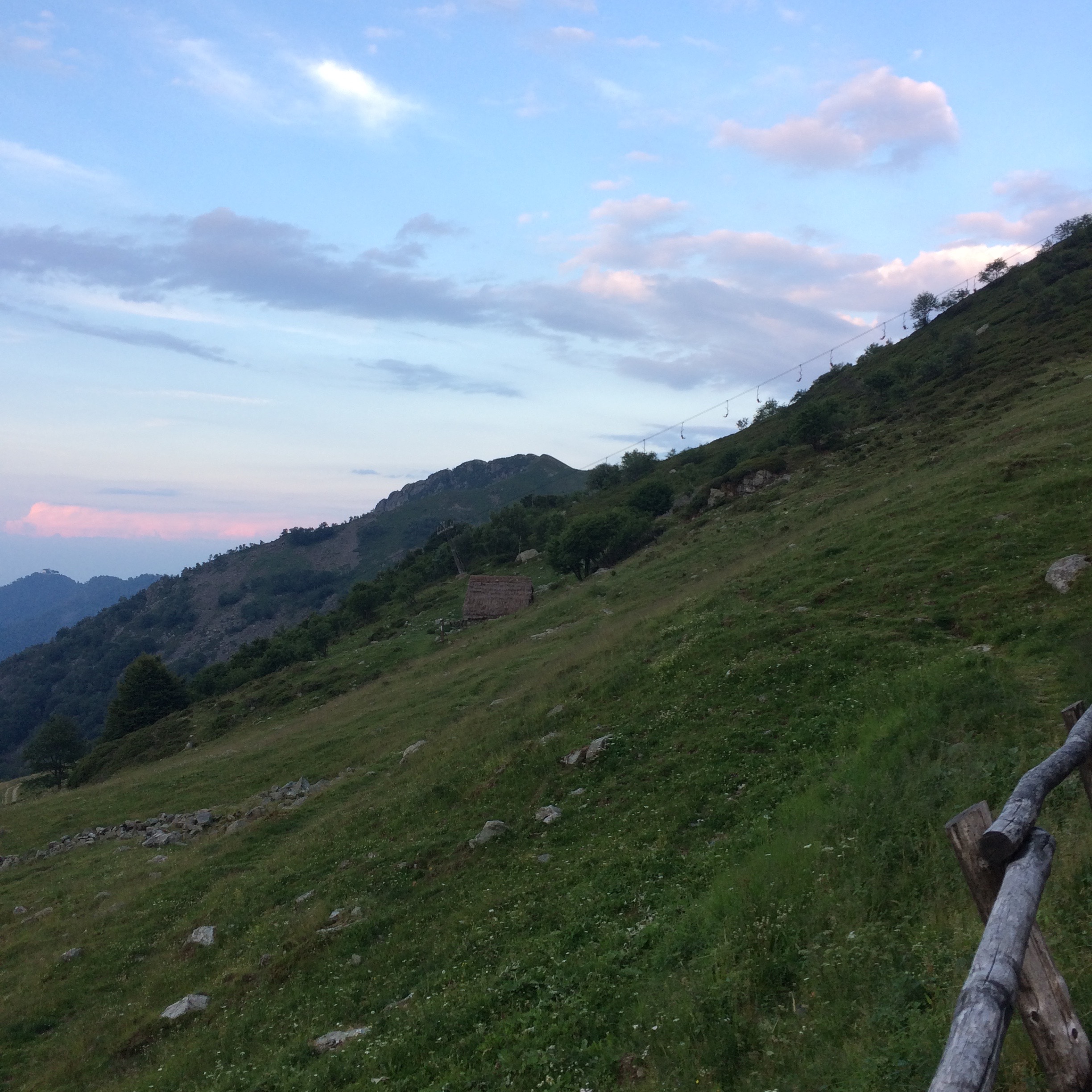 Postcards from the field – The Applied Ecologist