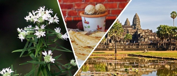 Meet the Editor: Marc Cadotte – The Applied Ecologist