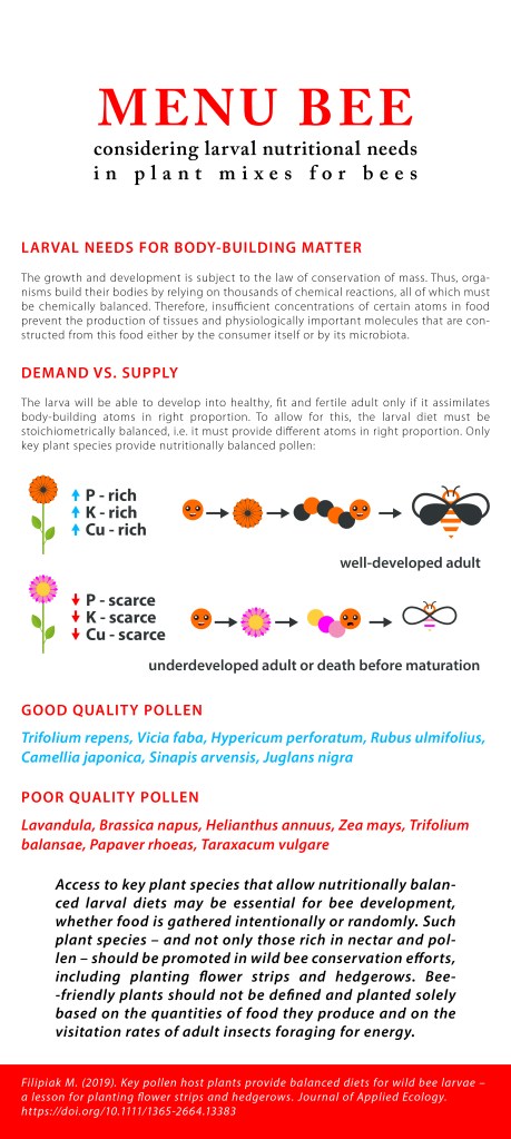 Infographic: creating the ultimate menu for bee larvae – The Applied ...