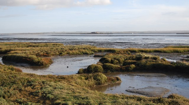 saltmarsh uk