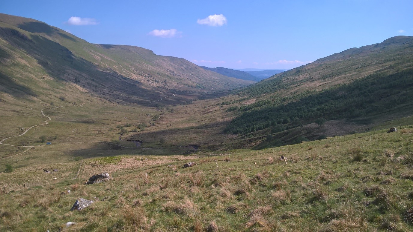 Vegetation change in the uplands is slow, slow, slow – The Applied ...