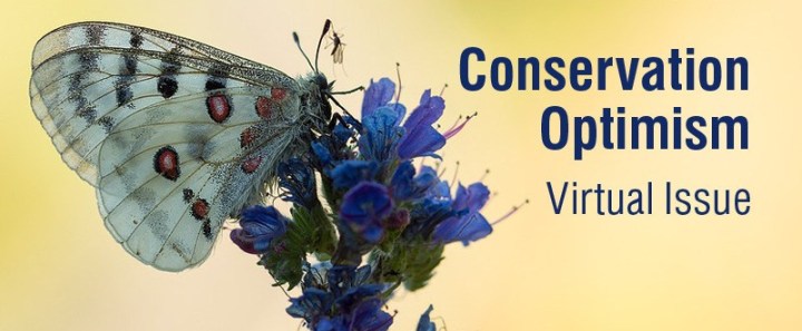 Conservation optimism: applied ecologists lead the way – The Applied Ecologist