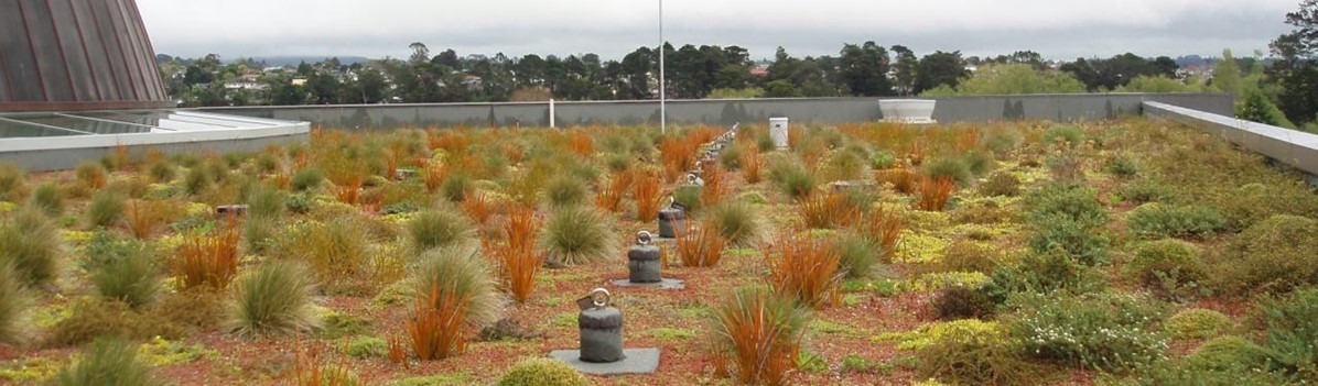 Green infrastructure: greenwashing or a tangible contribution to urban ...