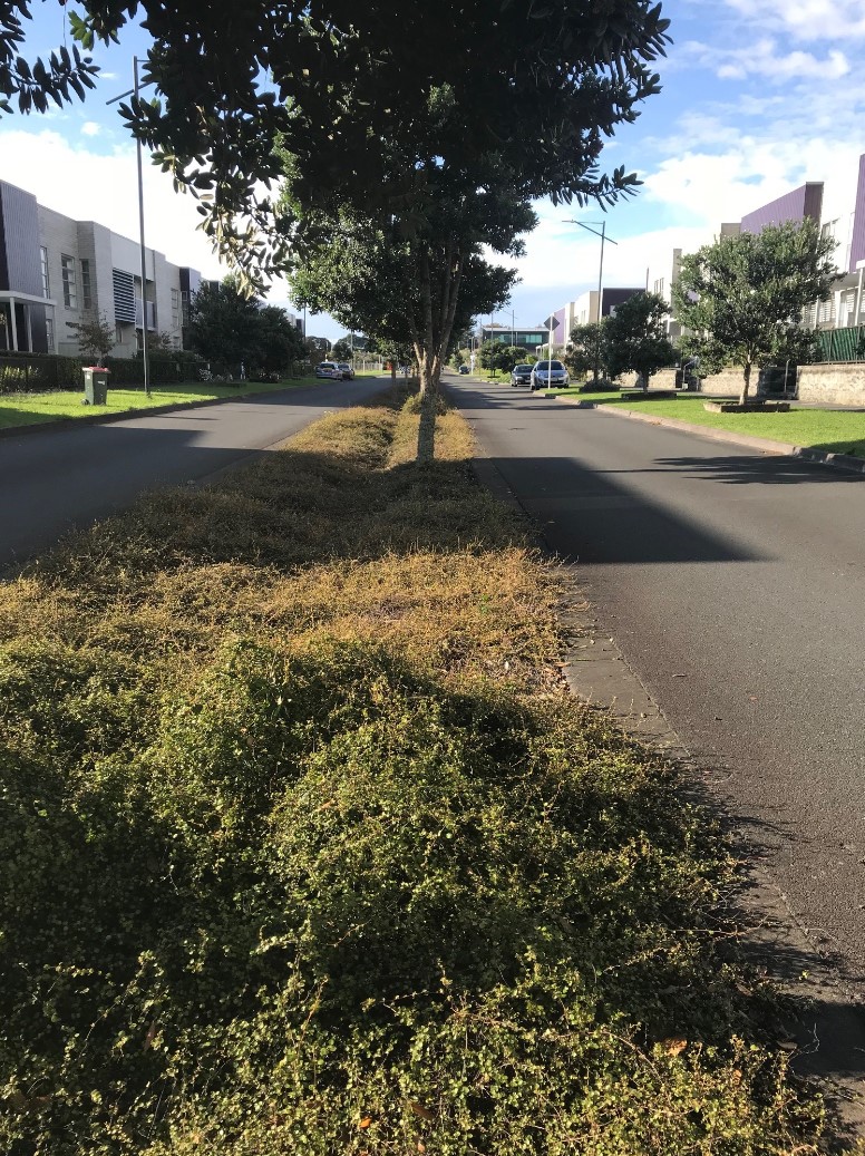 Green infrastructure: greenwashing or a tangible contribution to urban ...