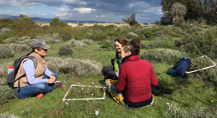 12 months in ecology – The Applied Ecologist