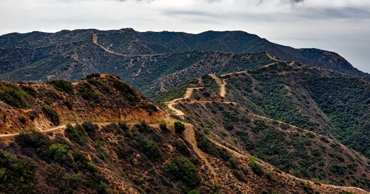 The bumpy road to success in academia: a personal account of deviating ...