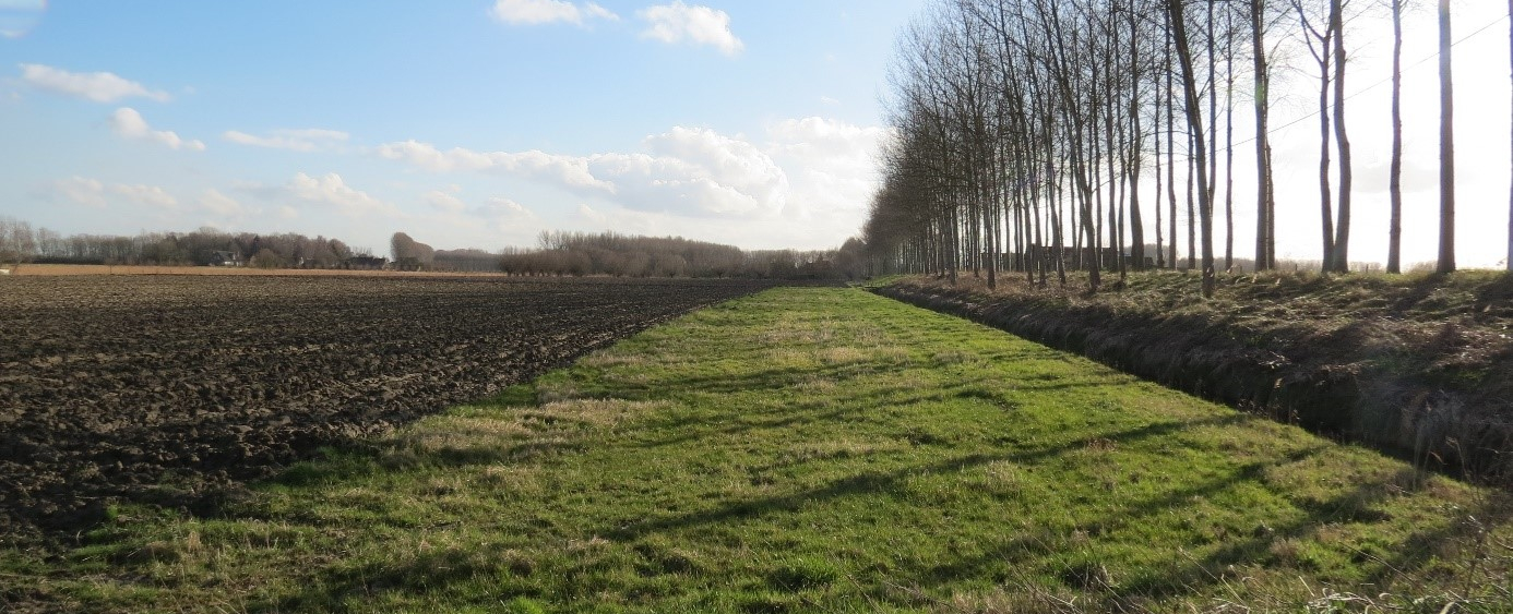 Editor’s Choice 57:04 – Enhancing biodiversity through more ...