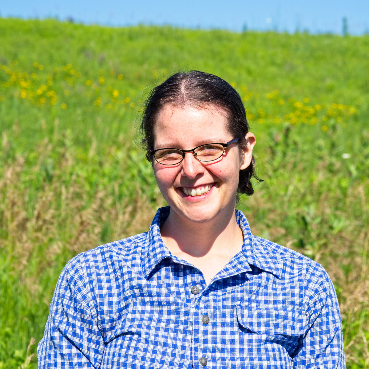 Ecological Solutions and Evidence: perspectives from research, practice ...