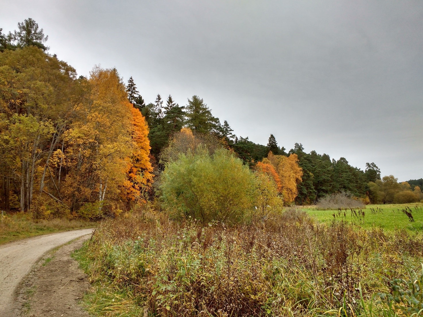 Hedging against biodiversity loss – The Applied Ecologist