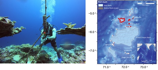 How can movement ecology support marine protected areas in preventing ...