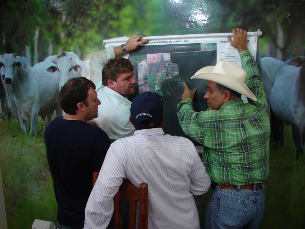 How can we improve tree planting outcomes? – The Applied Ecologist