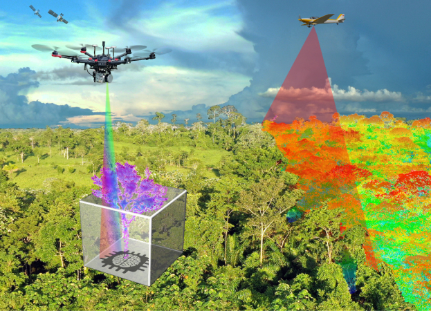 How can we improve tree planting outcomes? – The Applied Ecologist