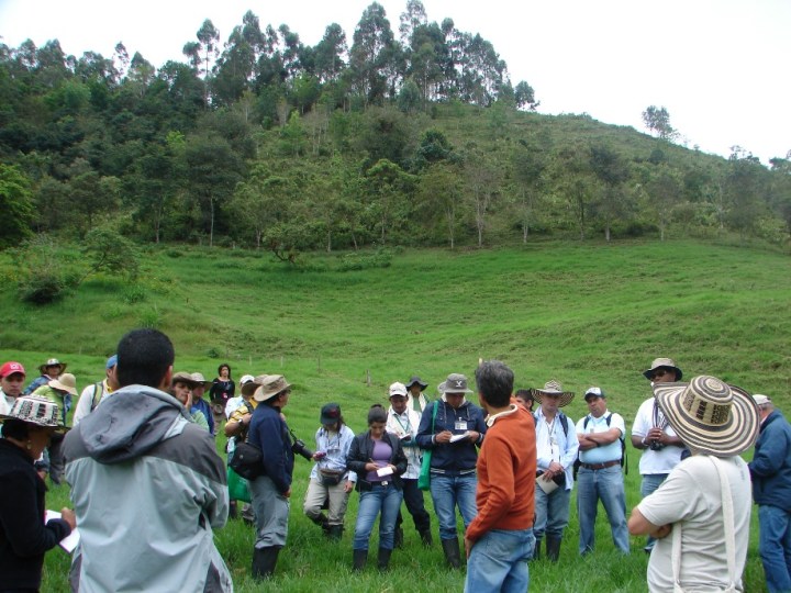 How can we improve tree planting outcomes? – The Applied Ecologist