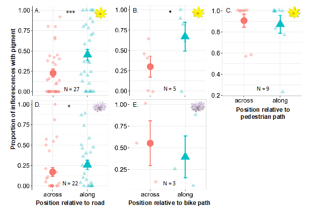 Do roads pose a significant barrier to bee movement? – The Applied ...