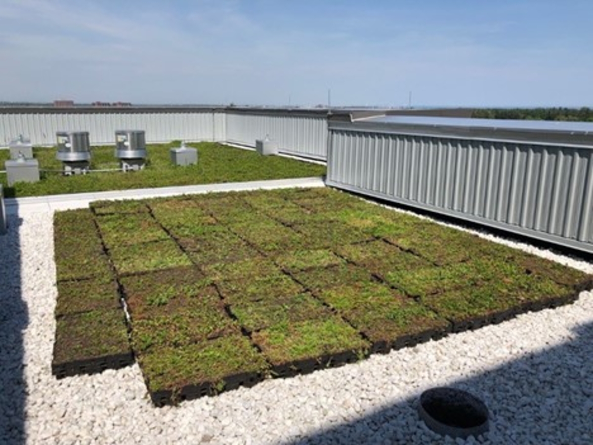 Editor’s Choice 58:11: Invasion theory as a management tool for ...