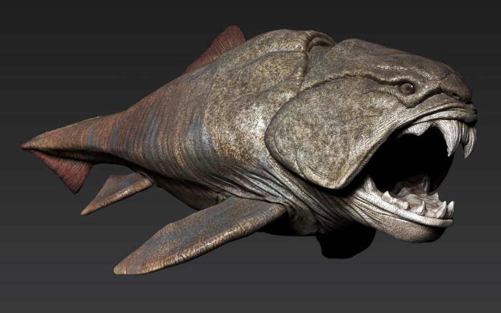 From blind amoeba to Nemo: the evolution of fish (and vertebrate ...
