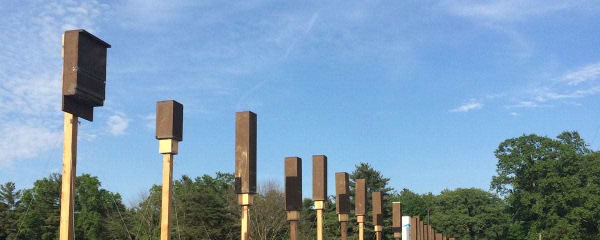 How does bat box design affect box temperatures and their suitability ...