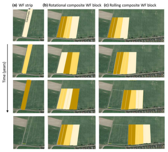 Editor’s Choice 59:5: Rolling composite wildflower blocks as an ...