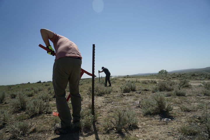 How do fences affect animal movement behavior? – The Applied Ecologist