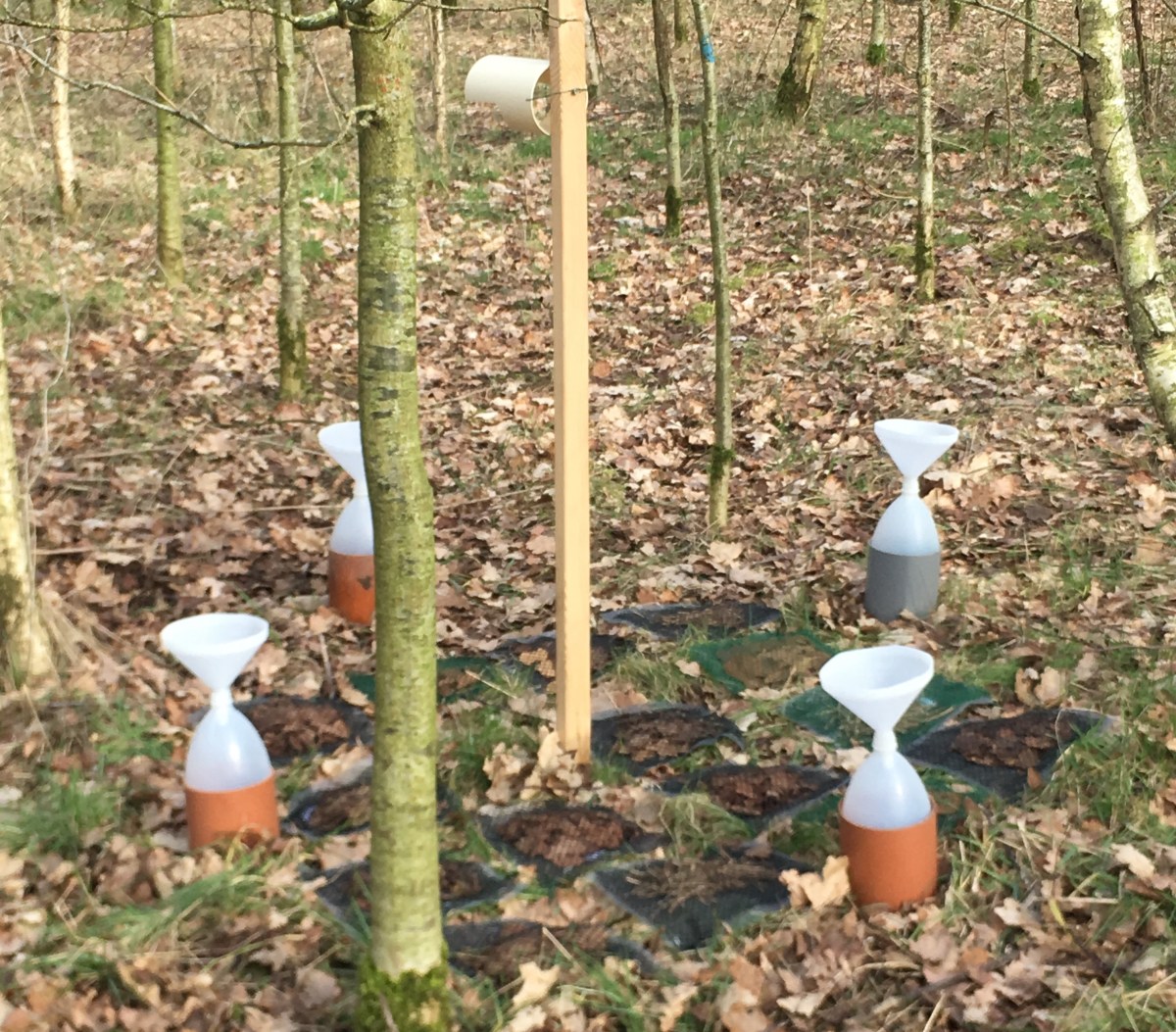 Editor’s Choice 59:6: Tree species mixing amplify forest microclimate ...