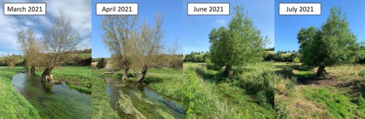 Kieran Gething: Predicting invertebrate richness and rarity in aquatic ...