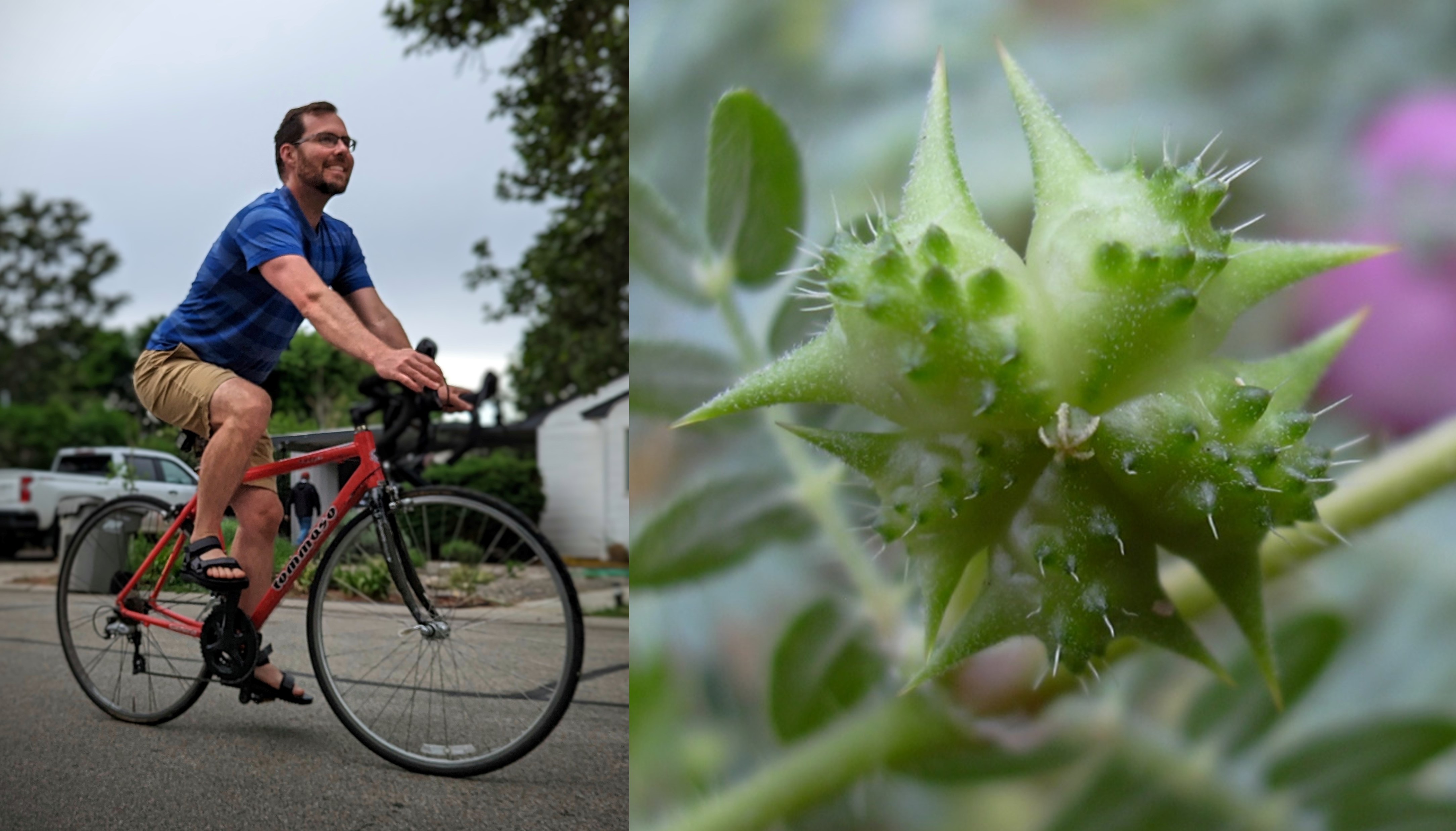 Research stories: Maps and models to curb the spread of the abominable ...