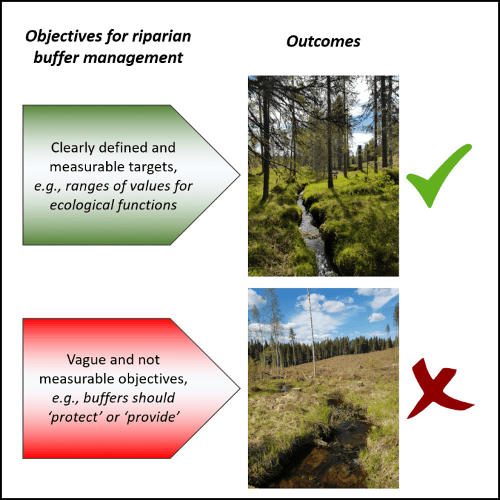 Enhancing riparian protection: A call for clear objectives and ...