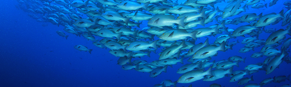 Key Concepts in Ecology: Life and the physical environment – The ...