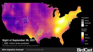 3 US bird migration map_Cornell_Lab_BirdCast – The Applied Ecologist
