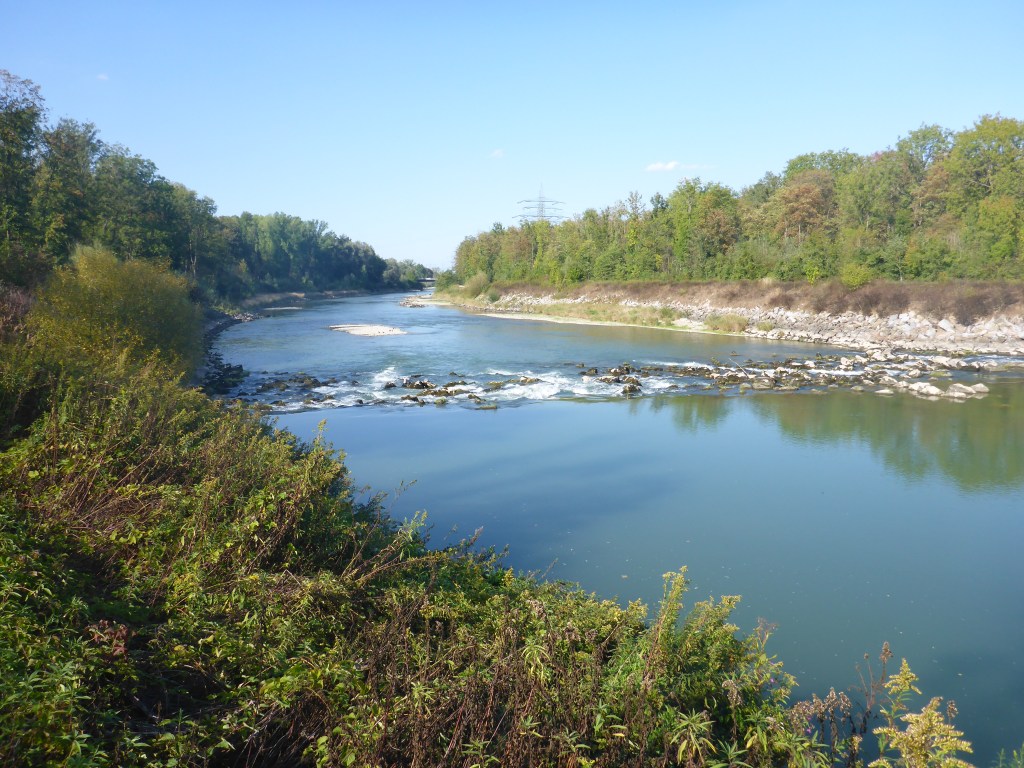 Will fish passages alone resolve our river fragmentation problems ...