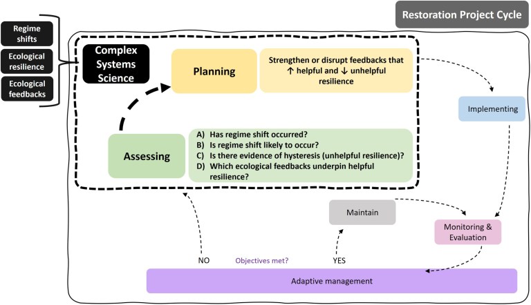 Explore Before You Restore: Enhancing ecosystem restoration with ...