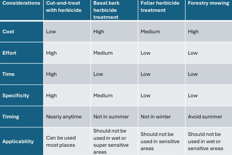 Controlling an invasive shrub across the year with basal bark herbicide ...