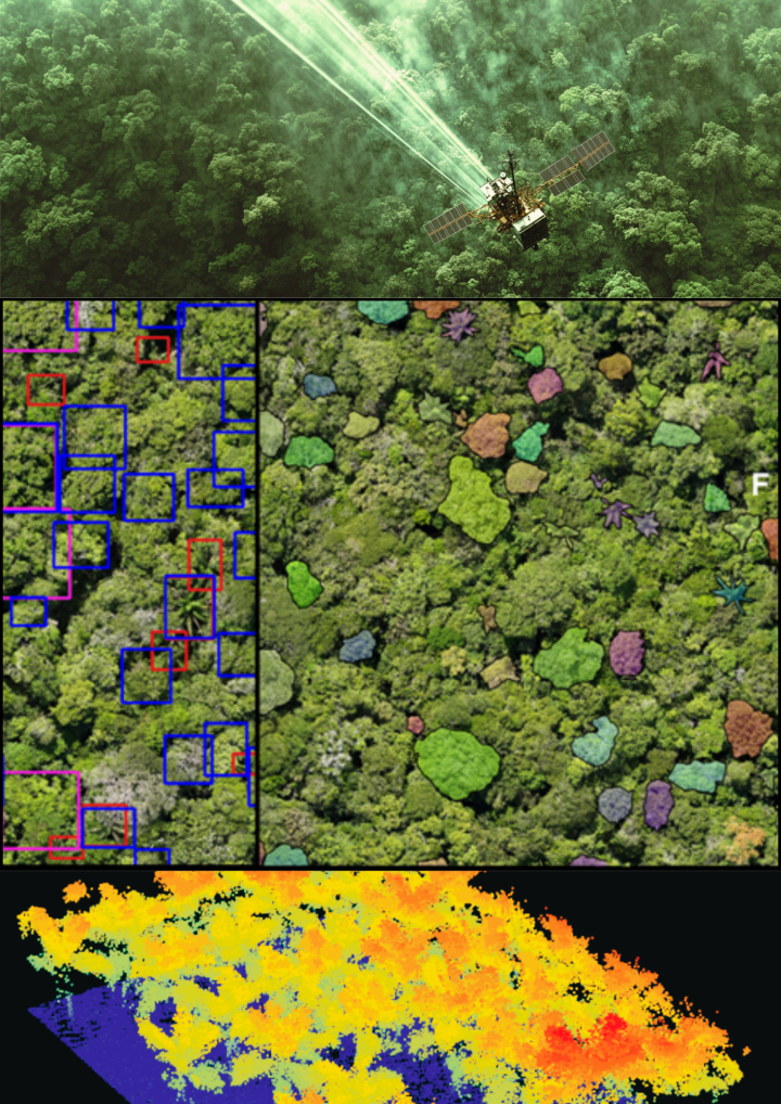 Remote sensing: A key to monitoring tropical forest restoration – The ...