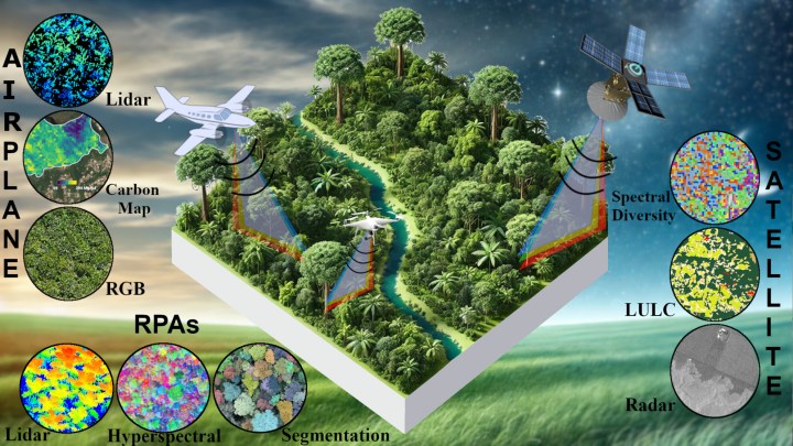 Remote sensing: A key to monitoring tropical forest restoration – The ...