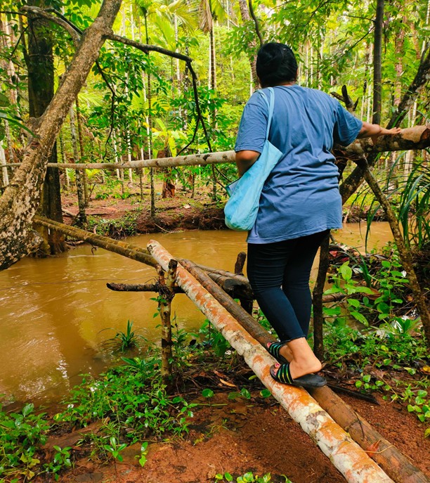 Field Diaries: A regenerative agriculture model rooted in Goan ...