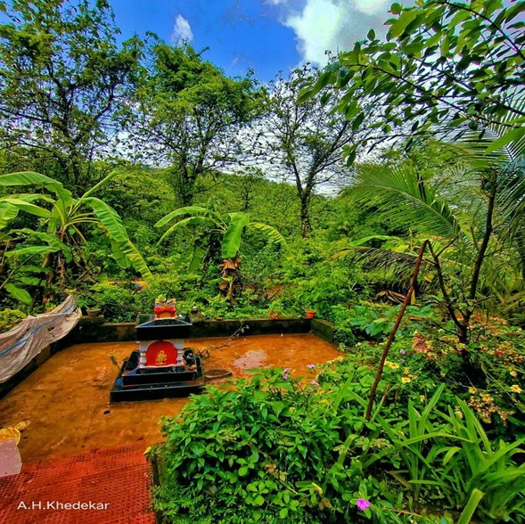 Field Diaries: A regenerative agriculture model rooted in Goan ...