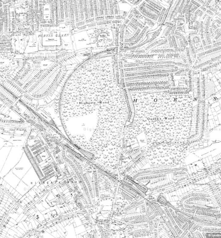 Documenting decades of change in urban ancient woodlands – The Applied ...