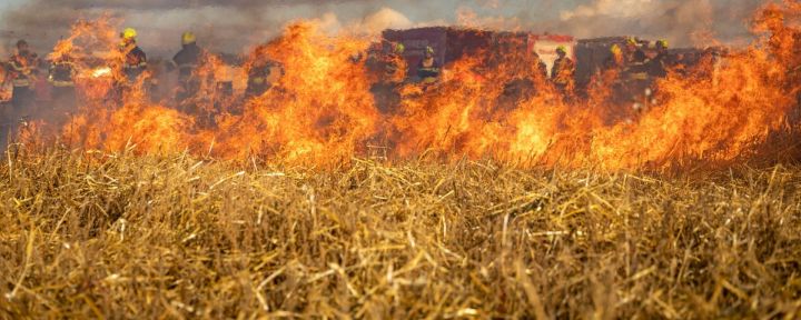 When fire meets warming: Managing mountain grasslands in a hotter world ...