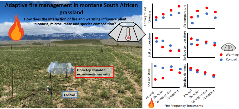 When fire meets warming: Managing mountain grasslands in a hotter world ...